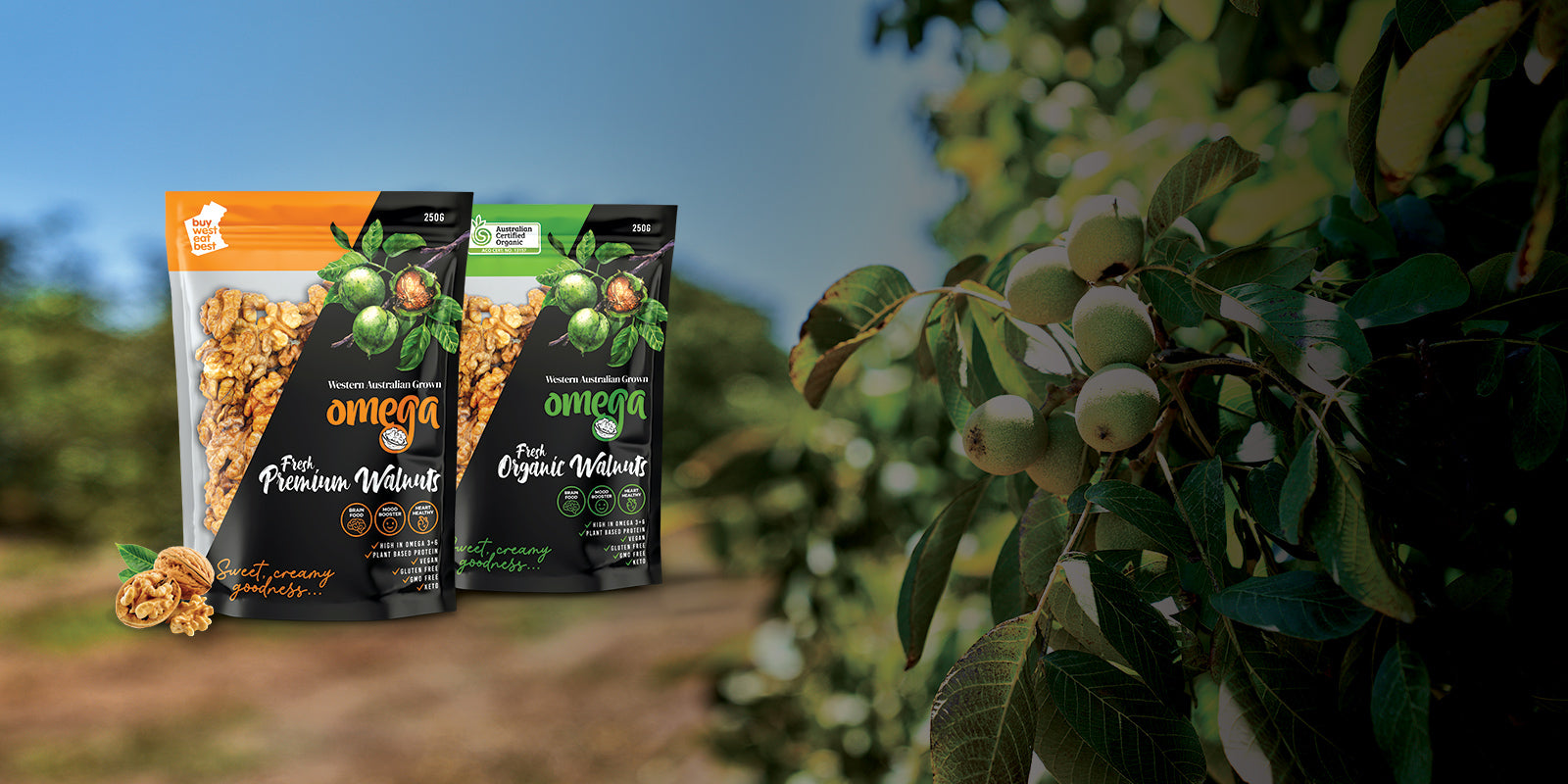 Buy Fresh Walnuts Online | Raw Australian Walnuts | Omega Walnuts ...