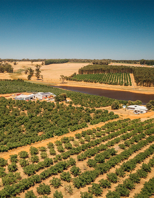 Buy Fresh Walnuts Online | Raw Australian Walnuts | Omega Walnuts ...