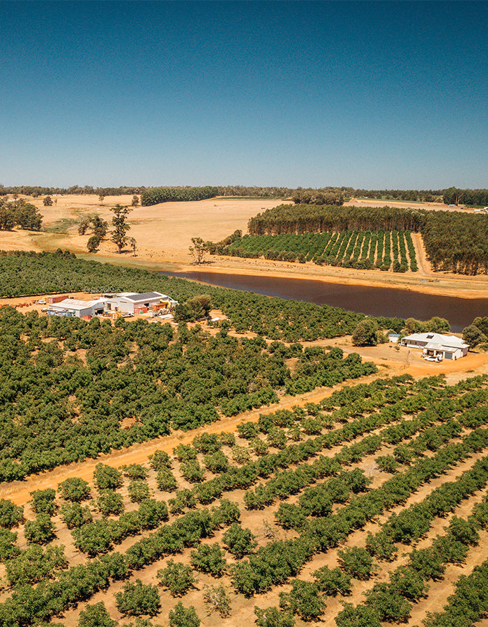 Buy Fresh Walnuts Online | Raw Australian Walnuts | Omega Walnuts ...