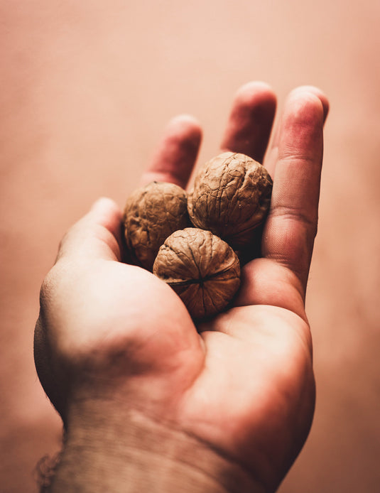 Buy Walnuts In-Shell | Conventional Whole Walnuts | Omega Walnuts ...